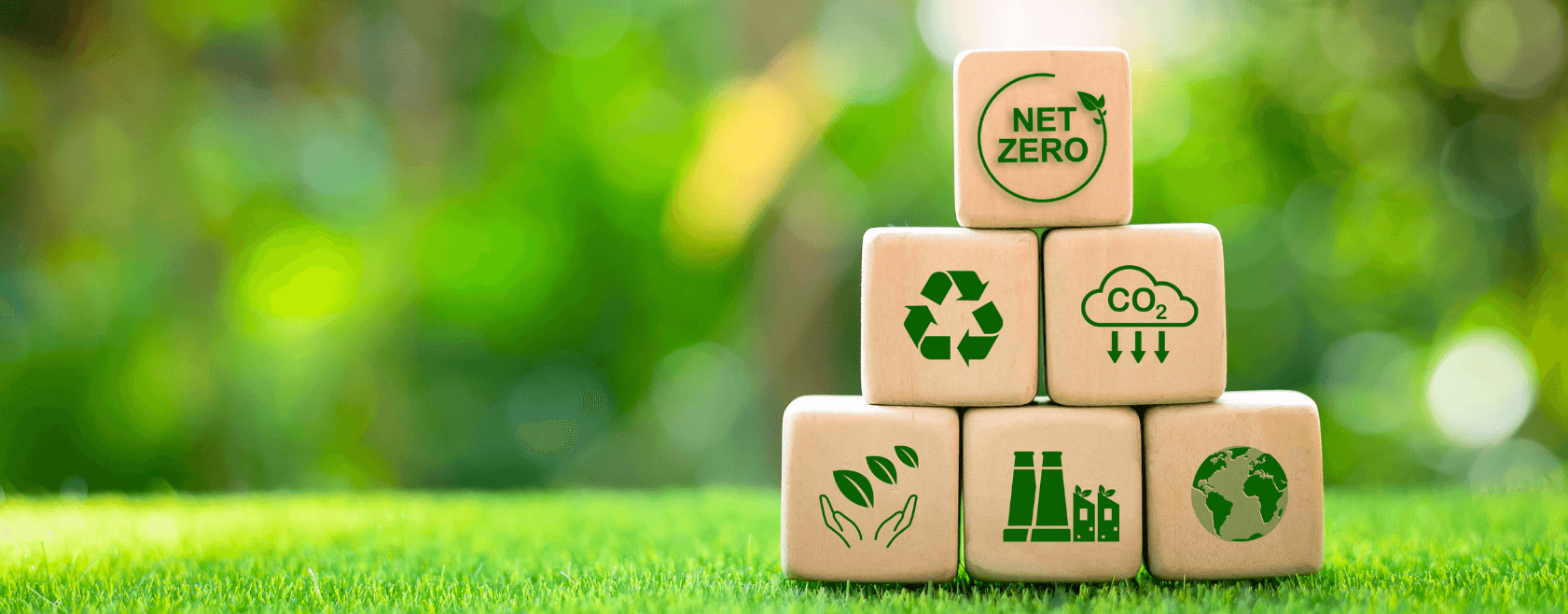 Leading the Decarbonization Charge: Understanding Carbon Emissions in Your Supply Chain